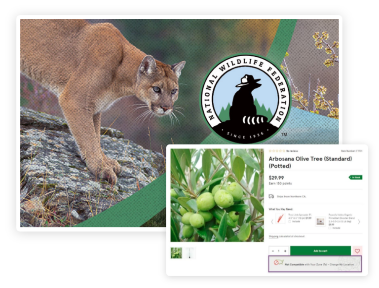 Software Development and Digital Transformation Company - Codup